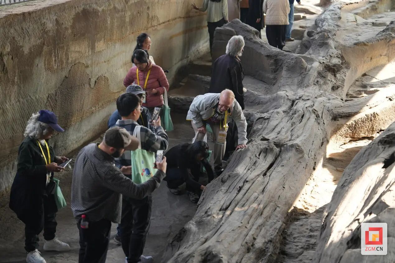 国际专家汇聚自贡，“自贡古生物化石研究与保护利用国际学术交流活动”圆满举行 - 自贡网 - 在这里，读懂盐都