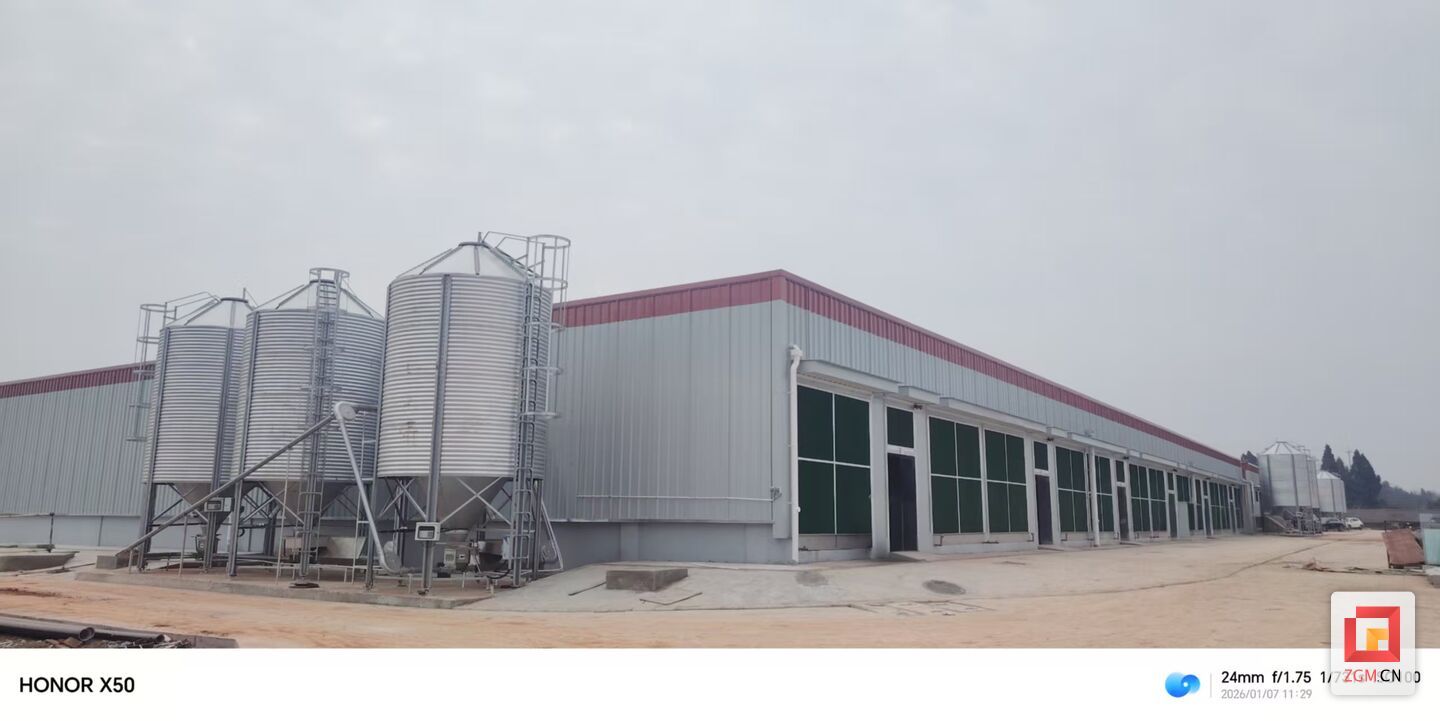 【乡村行 看振兴】荣县兔香飘万里：2025年千万只肉兔领跑全国 - 自贡网 - 在这里，读懂盐都